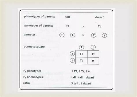 Class Xscienceheredity And Evolutionppt Pdfpptx Class Xscienceheredity And Evolutionppt Pdfpptx