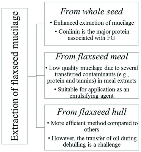 Different Forms Of Flaxseed Used For Mucilage Extraction Adapted From Download Scientific