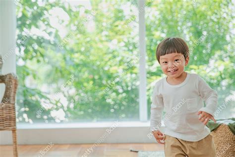 아기 나이 남자아기 어린이 나이 성장 소년 남성 귀여움 물체묘사 이미지 Jv12385853 게티이미지뱅크