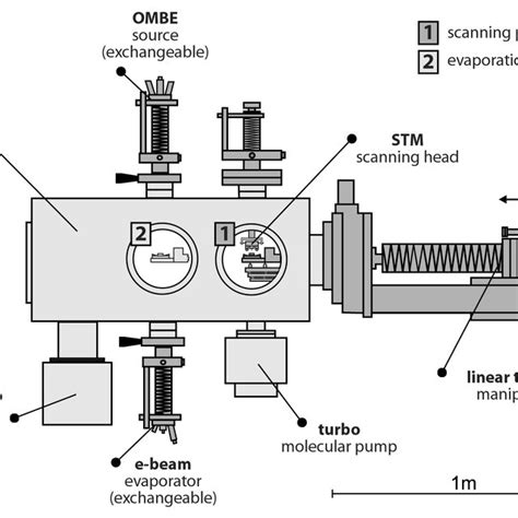 Principle Of The Beetle Type STM The Body Of The STM Consisting Download Scientific