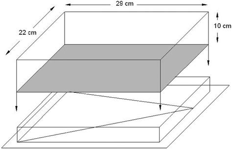 The Odor Preference Apparatus Used To Examine Social And Nonsocial Odor