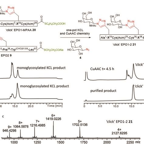 A ‘one Pot Synthetic Approach To ‘click Epo1 2 Neoglycopeptide 21 Download Scientific
