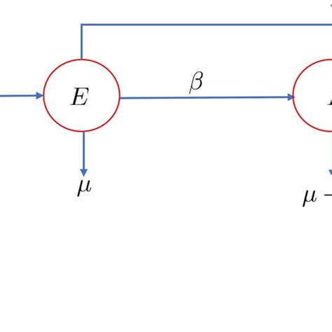 Flow Chart Of The Proposed Measles Model As Given In 1 Download Scientific Diagram