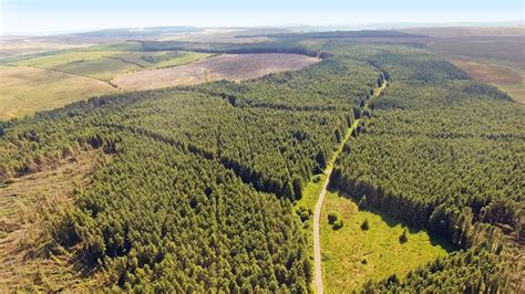 Sea Ice Data Assimilation National Centre For Earth Observation