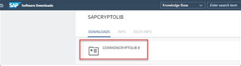 Using Odbc Driver For Sql Service Sap Tutorials