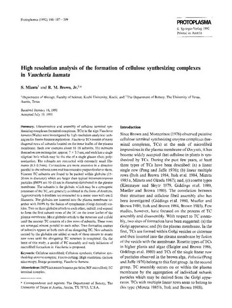 pdf high resolution analysis of the formation of cellulose