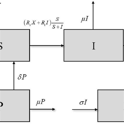 Flow Chart Of Dynamical Transmission Of Brown Spot Disease Download
