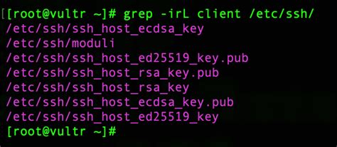 grep 命令的常见用法 玩客