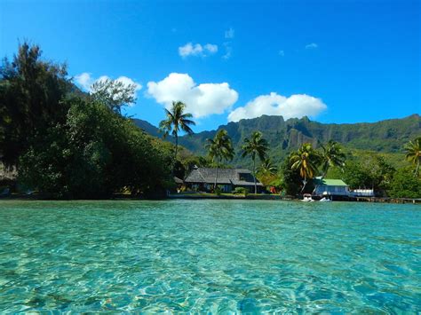 Moorea Island Poerani Moorea French Polynesia Pacific Ocean And