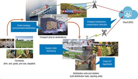 IoT To Prevent Food Wastage Smart World Profit From IoT