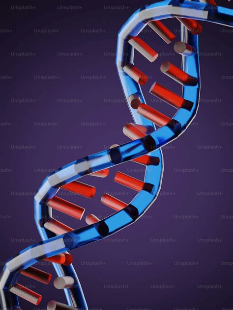 A 3d Image Of A Double Stranded Strand Of Red And Blue Strands Photo