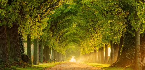 The Transition Plan Taskforce Disclosure Framework Has Launched What Should You Know