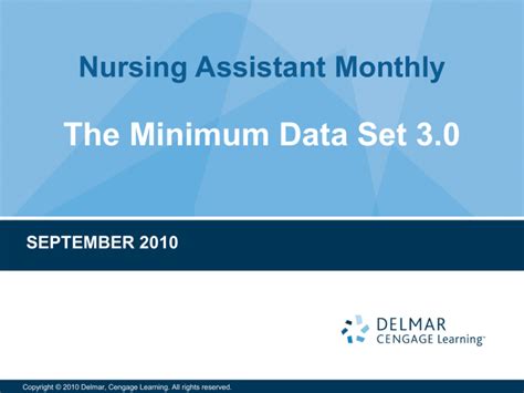 Minimum Data Set 3 0