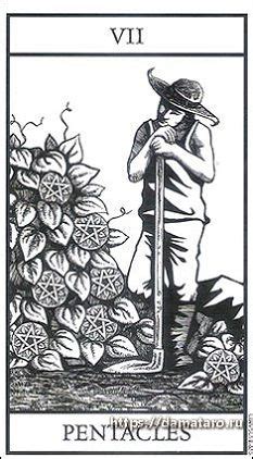 Изображения колоды карт Таро - Bianco Nero Tarot