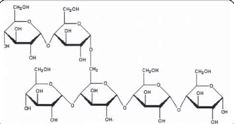 Starch Polysaccharide