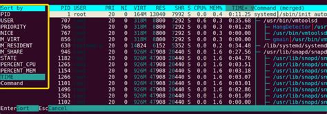 The Htop Command In Linux Practical Examples Linuxsimply
