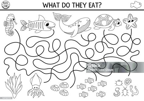 바다 아래 거북이 고래 상어 해마가 있는 아이들을 위한 흑백 미로 물고기 음식으로 오션 라인 유치원 인쇄 가능한 활동 물 미로 게임 색칠 공부 페이지 그들은 무엇을 먹나요