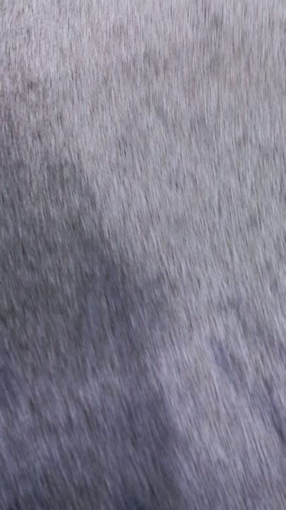 [video] Soenas Aviation Consulting On Linkedin Mroam