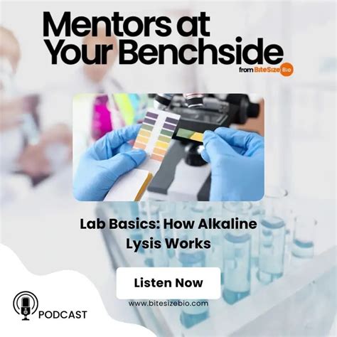 Mentors At Your Benchside Understand How Alkaline Lysis Works