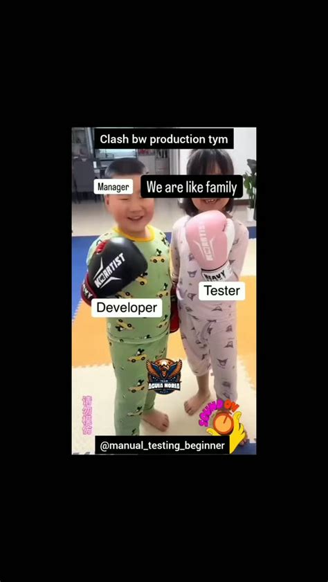 Manualtesting Manualtestingbeginner • Instagram Photos And Videos