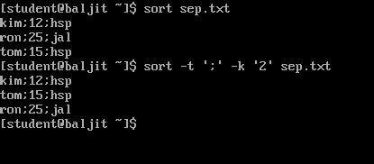 Use Of Sort T Command In Linux