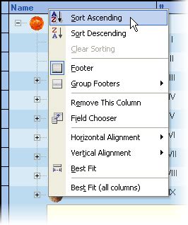 Column Header Context Menu VCL DevExpress Documentation