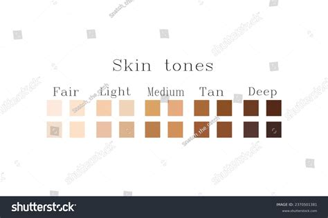 Set Human Skin Tones Complexion Color Stock Vector Royalty Free