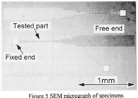 Figure 1 From Tensile Testing Of Polycrystalline Silicon Thin Films Using Electrostatic Force