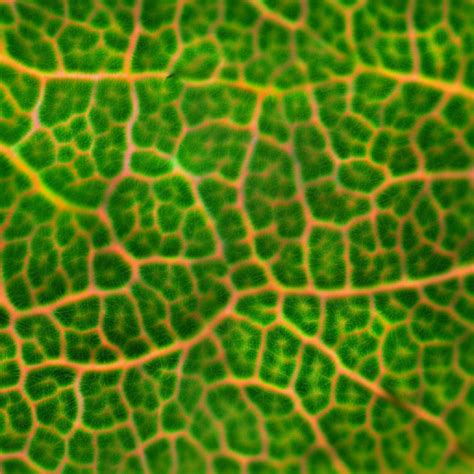 Free Ai Texture Generator Transform Text And Images Into Unique Textures