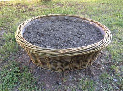 Грядки из ротанга своими руками - 65 фото