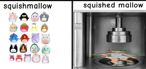 Squished Mallow The Rarest Squishmallow Of All R Pokemonmemes