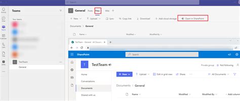 shared files in ms teams file tab should not be edited by members