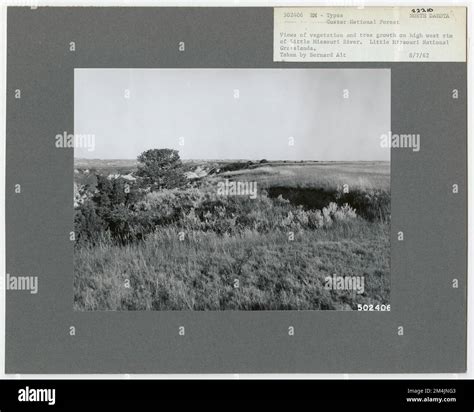 Grassland Types North Dakota Photographs Relating To National Forests Resource Management