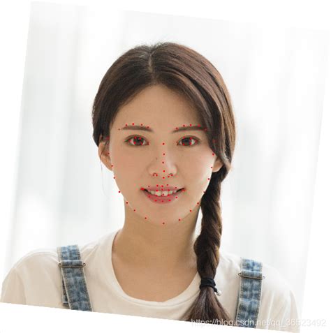 利用face alignment检测人脸68个特征点并对齐 lite ai toolkit fcae alignment csdn博客