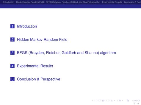 Hidden Markov Random Field Model And Bfgs Algorithm For Brain Image