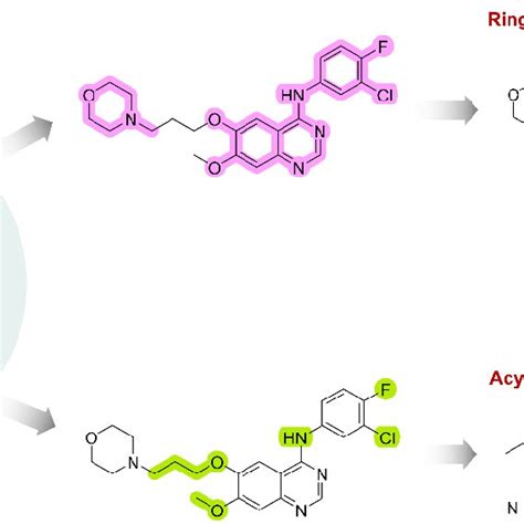 Fragmentation Of Molecules Into Ring Fragments Rfs And Acyclic