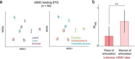Figures And Data In The Auditory Representation Of Speech Sounds In Human Motor Cortex Elife