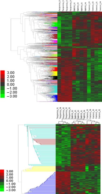 Differentially Expressed Transcripts And Proteins Hierarchical