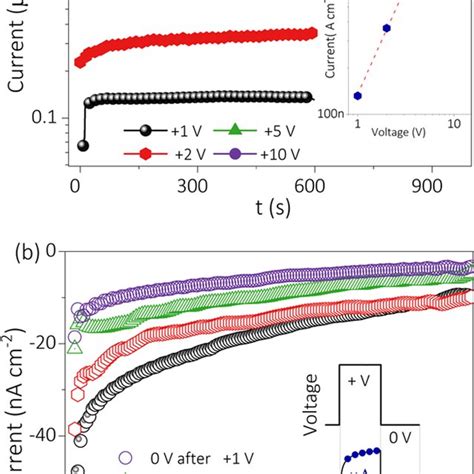 A Short Time Current Transients Registered At Different Positive