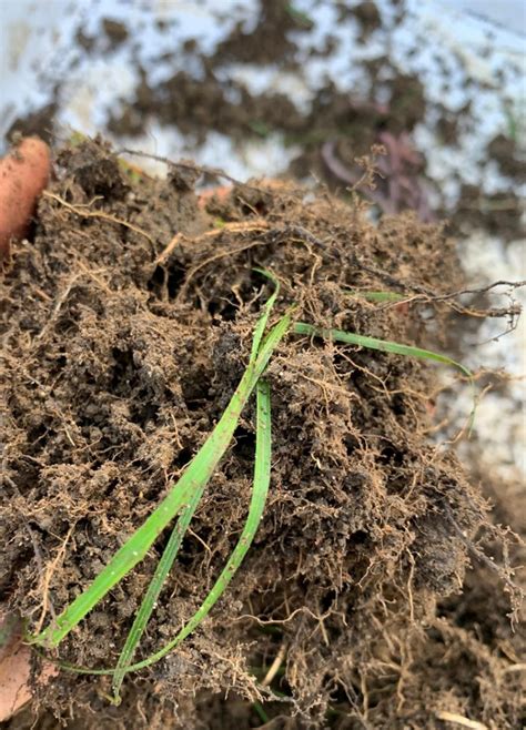Soil Lab Test Series 2 Nutrient Analyses Soilmentor