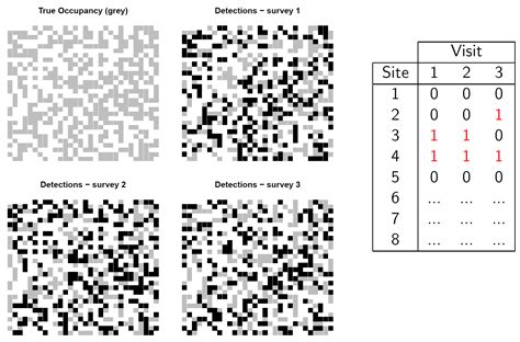 Spatial Occupancy Models Seec