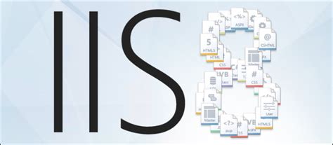 Best ASP NET Hosting For IIS The Best And Cheap Windows ASP NET Hosting Review