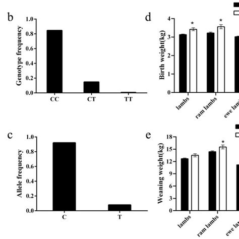 Mutation Of G 8795 C T In The 3′ Untranslated Region Of The Hu Sheep Download Scientific