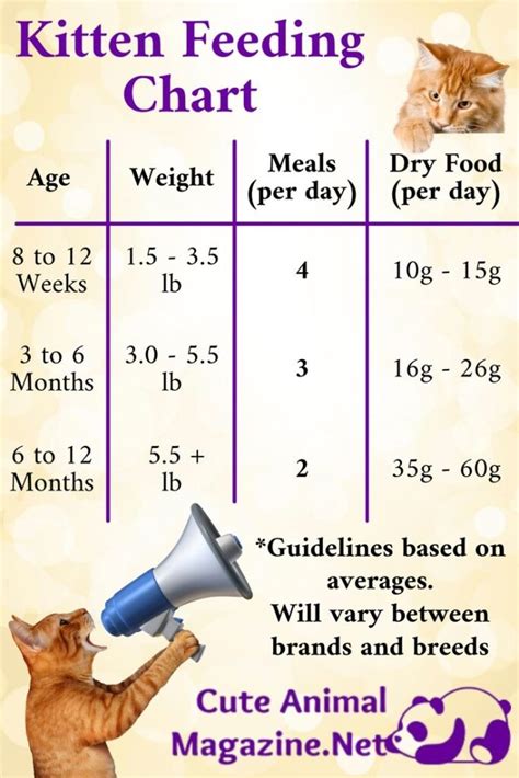 Printable Kitten Feeding Chart Free Printable Chart