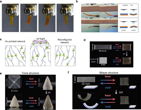 3d Printing Of Photochemical Structures Diw Of Lce Structures With