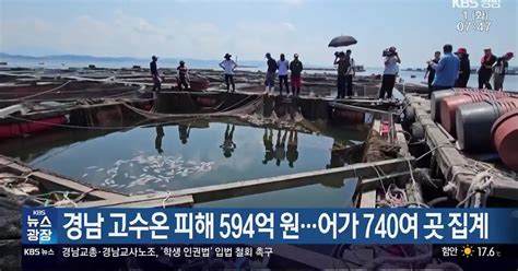 경남 고수온 피해 594억 원어가 740여 곳 집계