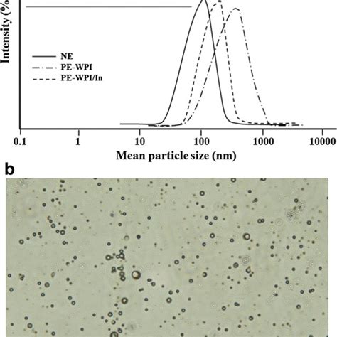 Particle Size Distribution And Dls Characteristics Of Ne And