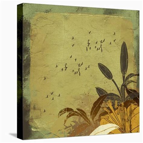 Lily Moonlight Ii Stretched Canvas Print Ken Hurd