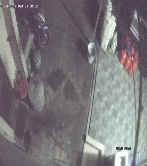 Randomobjectspolygon Object Detection Dataset By Myroboflow1