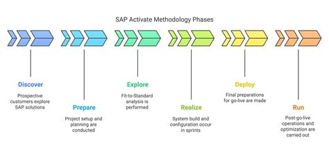 Sap Global Implementation Methodology A Guide For Cfos